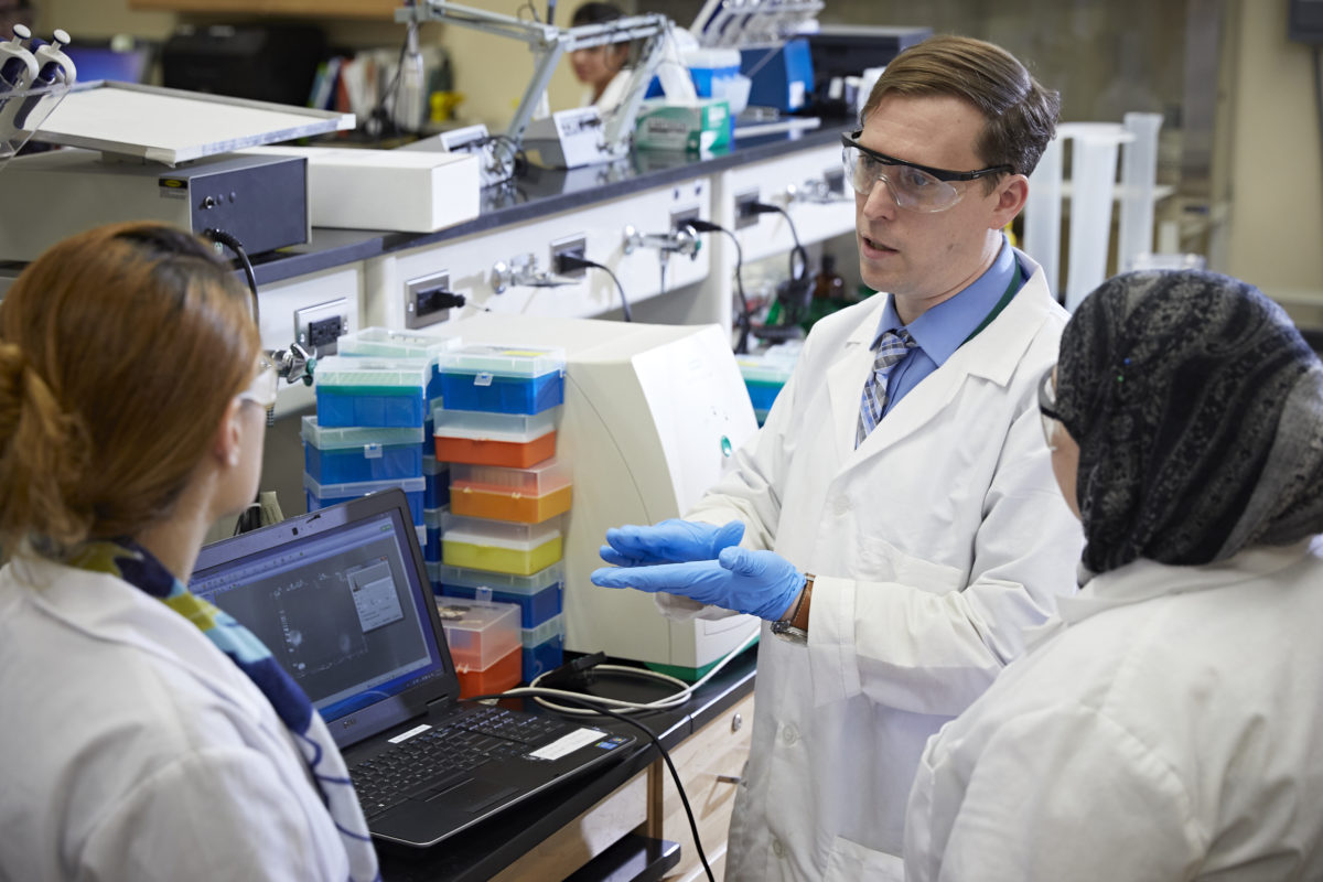 First in the nation: gene editing curriculum for community college ...
