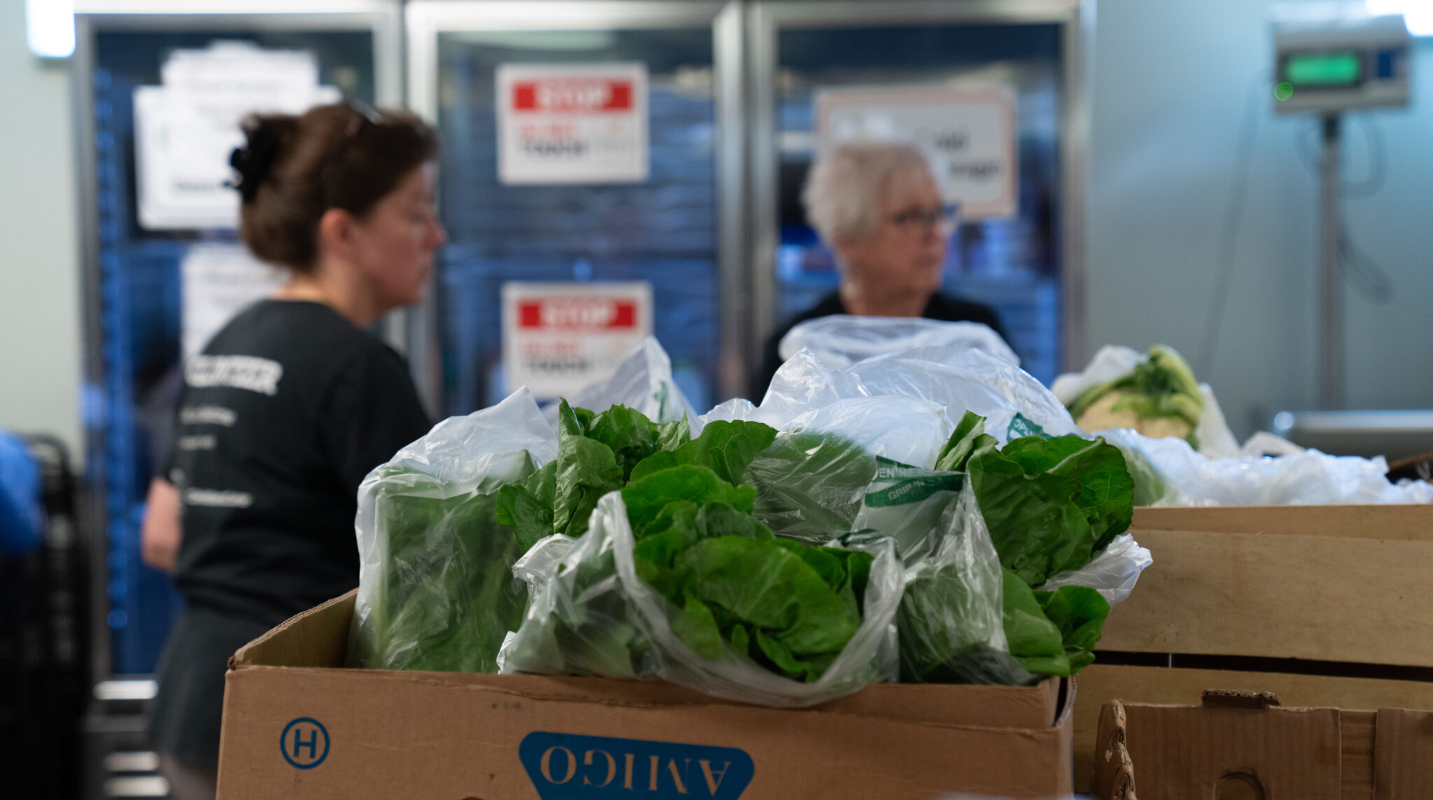 Food Is Medicine: 'It's Not Just About Food–It's About Friendship ...