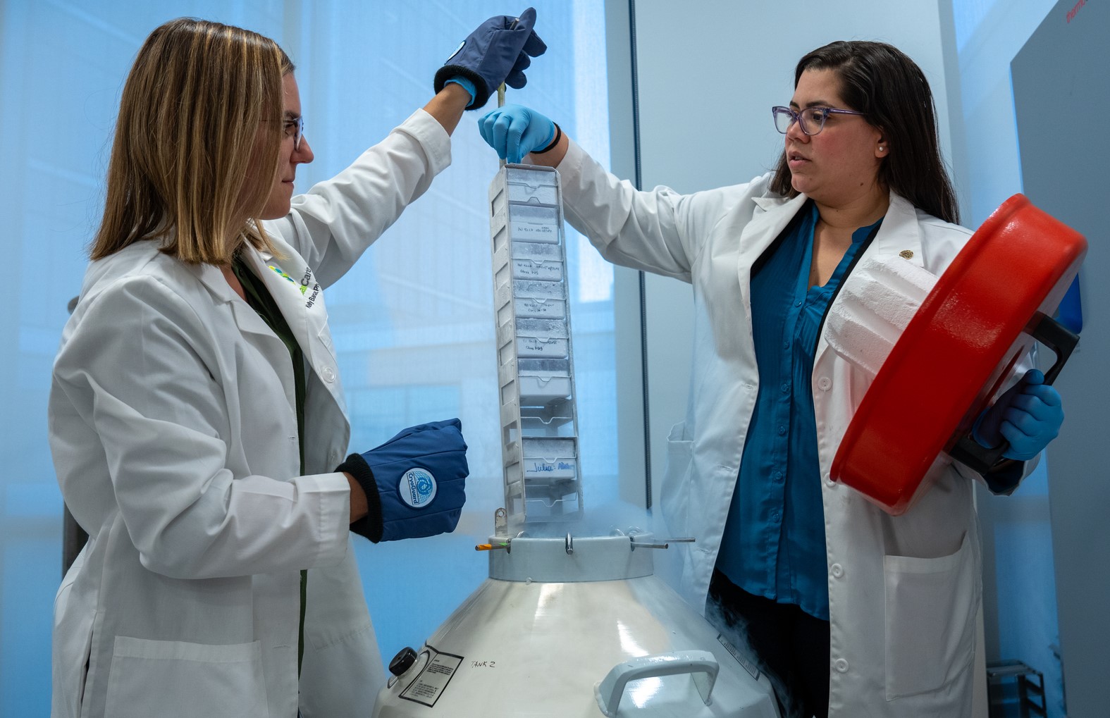 Kelly Banas, Ph.D., To Present Her Latest Discovery at CRISPR Medicine ...